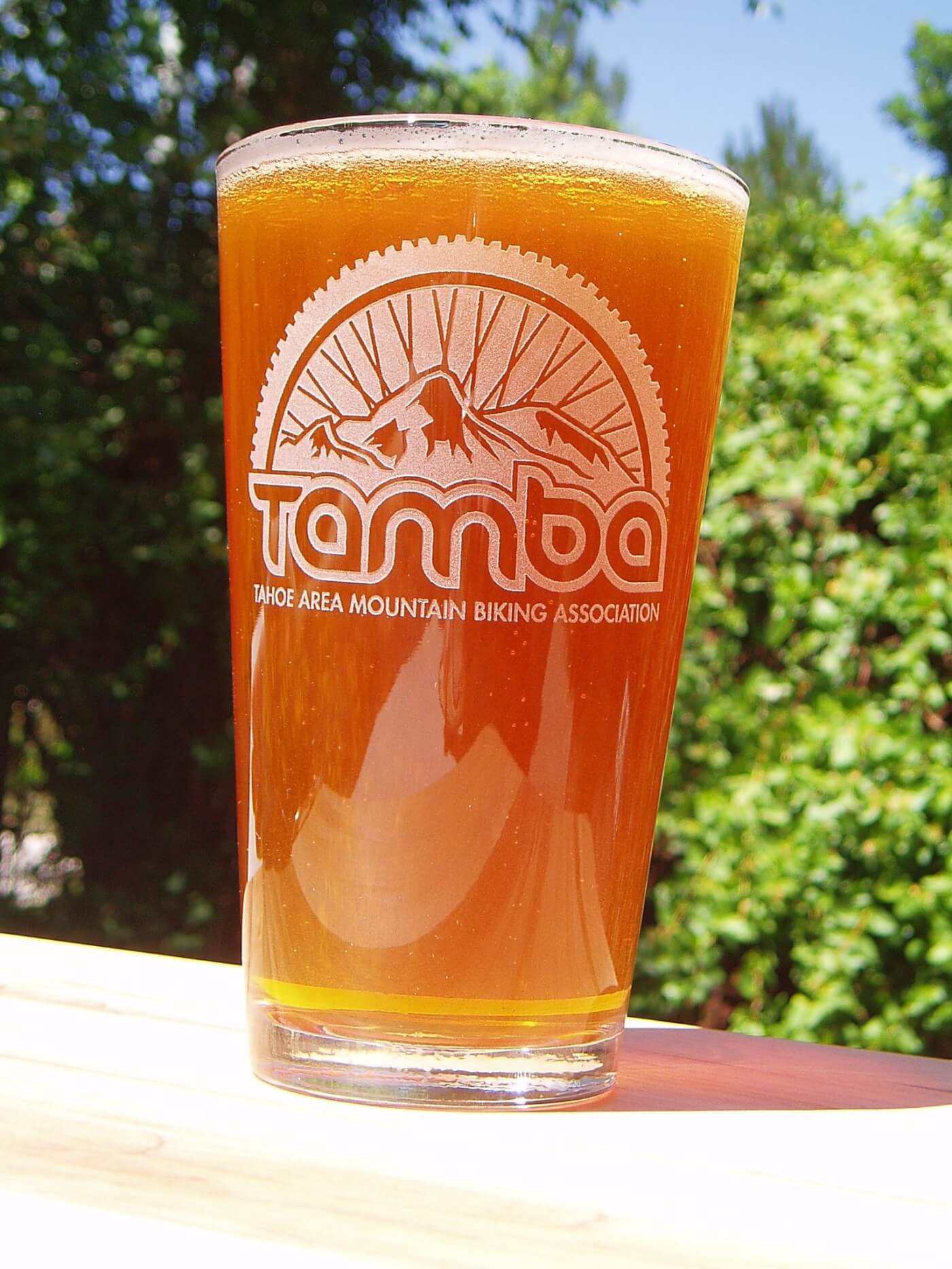 Kirkwood/TAMBA race and volunteers needed! - TAMBA