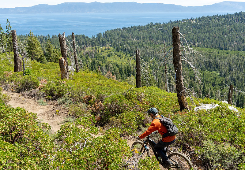 Meeks Ridge Dig Days - TAMBA